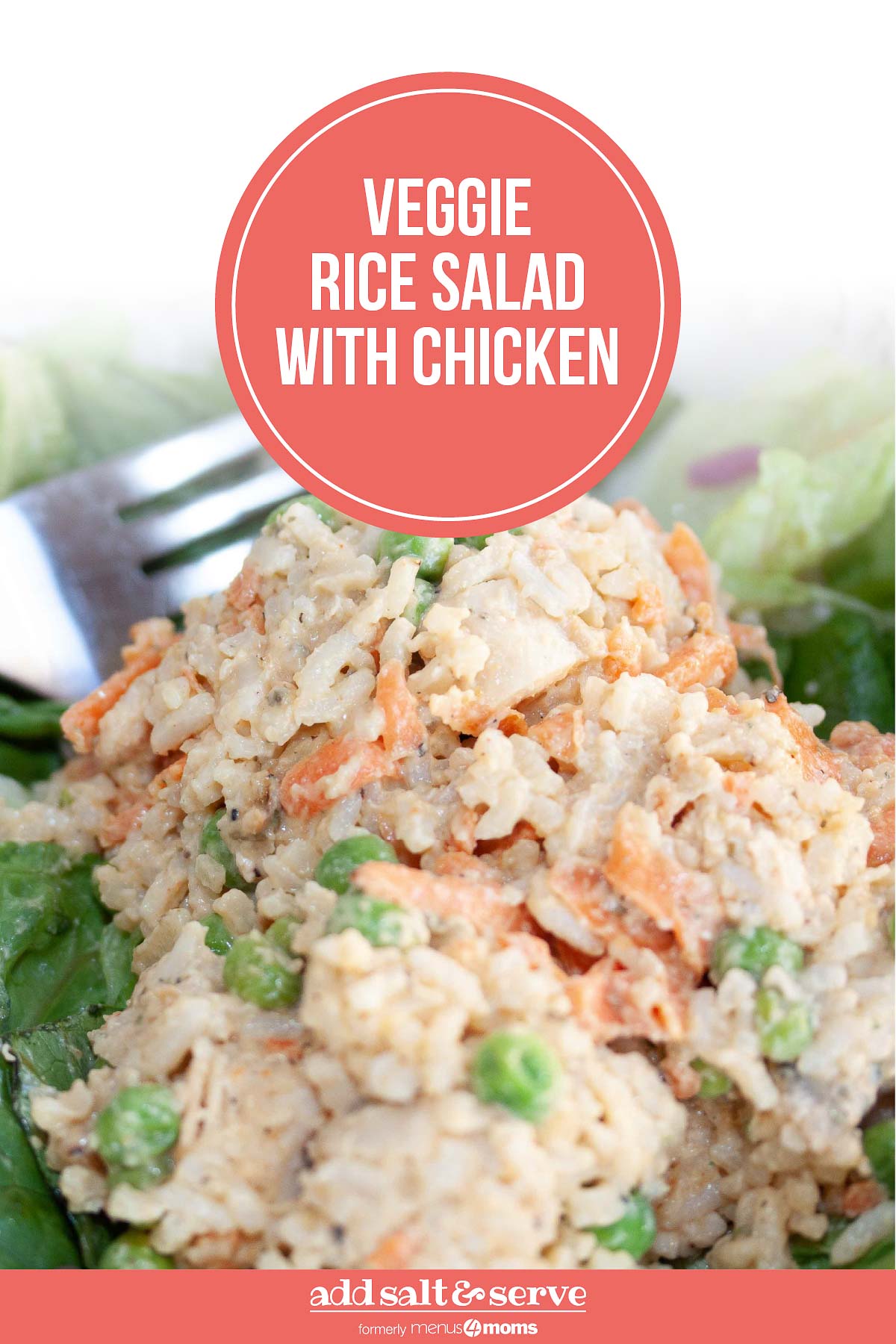 Versatile Veggies and Rice with Chicken – Add Salt & Serve